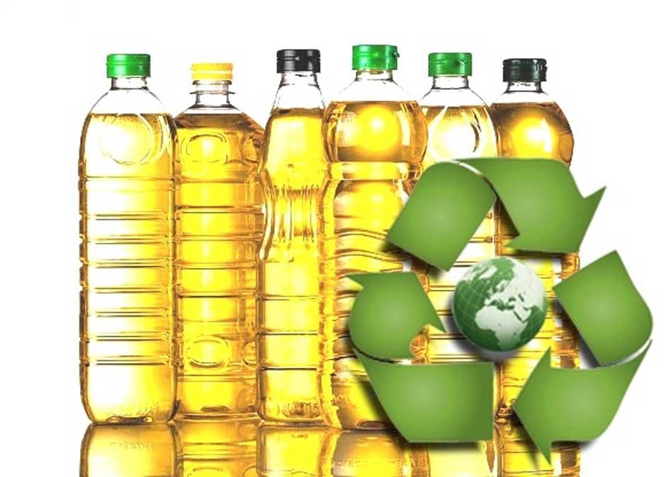 The Importance of Recycling Cooking Oil to Help the Environment in ...